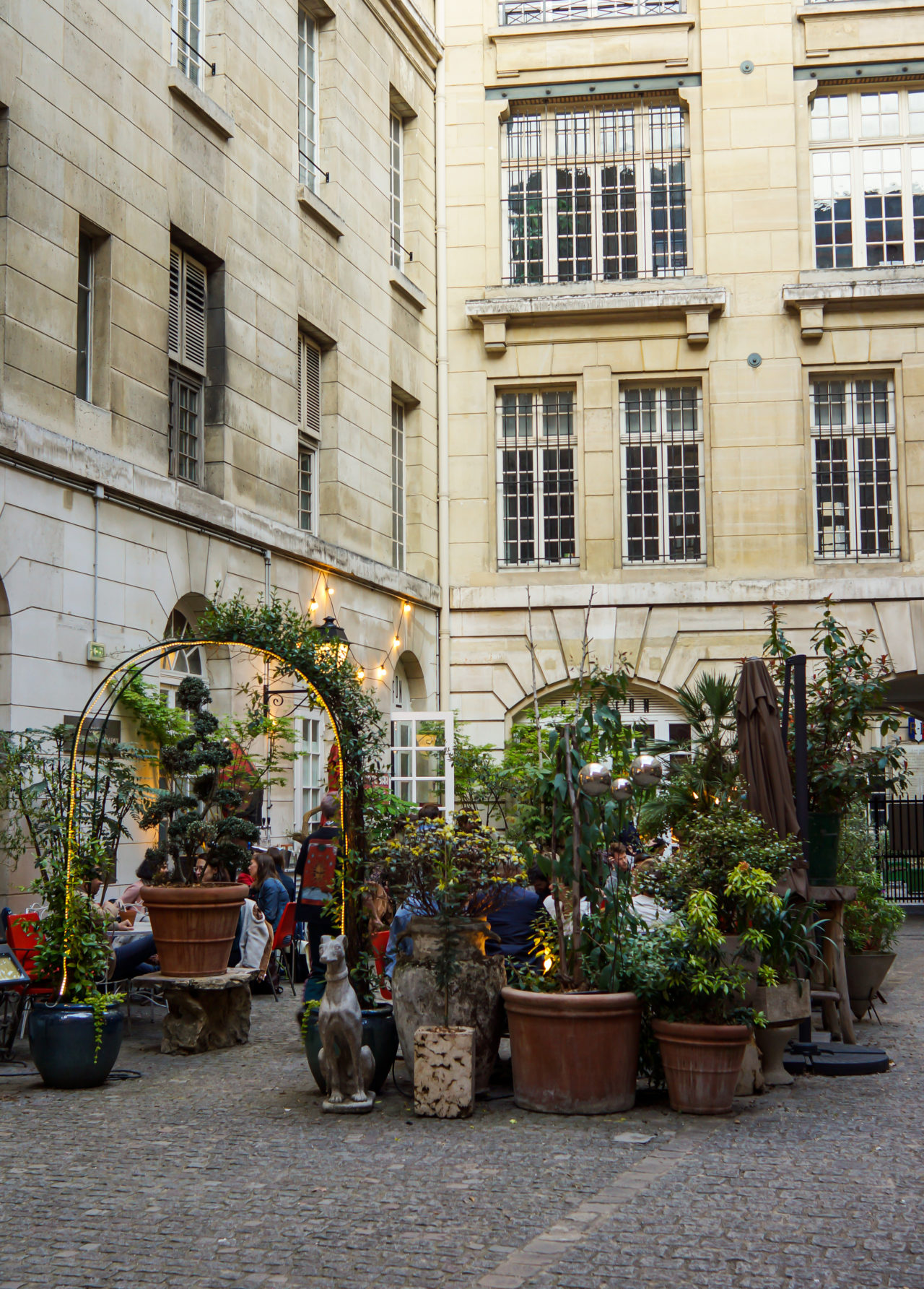 Coffee Shop & Bar - Griffon